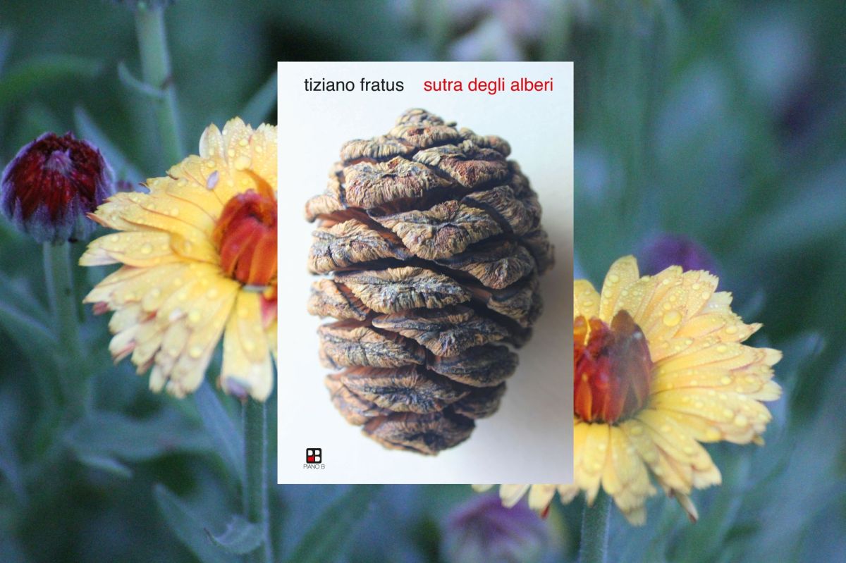 UNA PRIMA LETTURA DI SUTRA DEGLI ALBERI – STUDIO HOMO RADIX