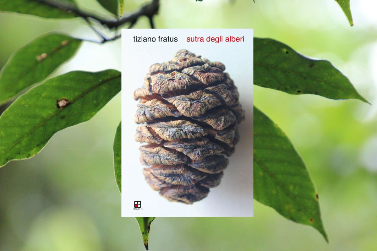 SUTRA DEGLI ALBERI – STUDIO HOMO RADIX