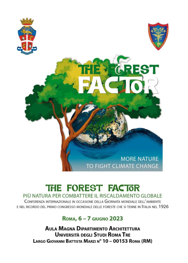 THE FOREST FACTOR – STUDIO HOMO RADIX
