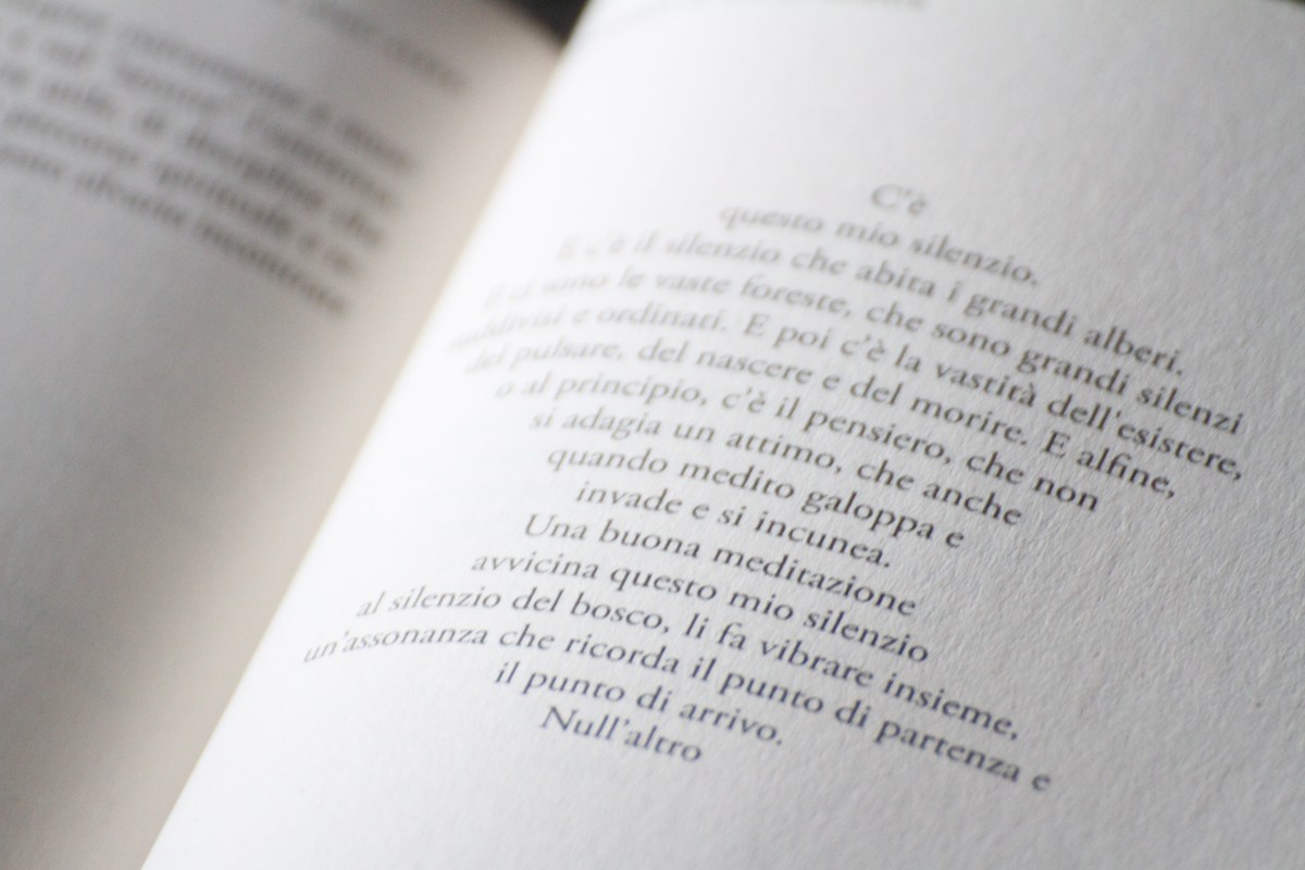 Confessioni tra gli alberi – STUDIO HOMO RADIX