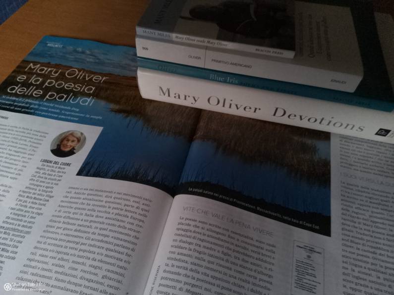 Natural Style – STUDIO HOMO RADIX