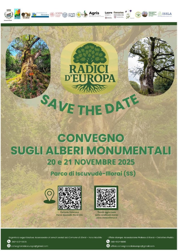 Radici d’Europa – STUDIO HOMO RADIX